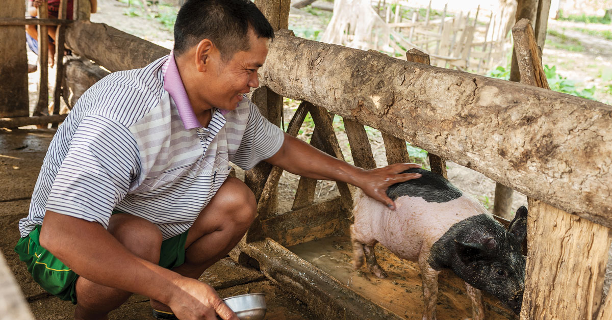 How Pigs Became an Answer to Prayer - GFA UK
